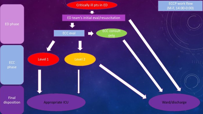 Critical Care Medicine Section // Stanford Emergency Critical Care ...