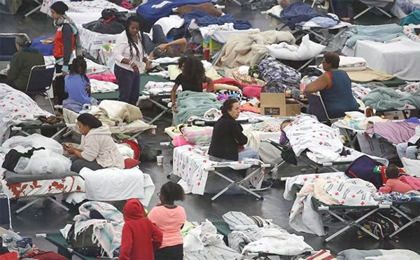 Disaster Medicine // Home