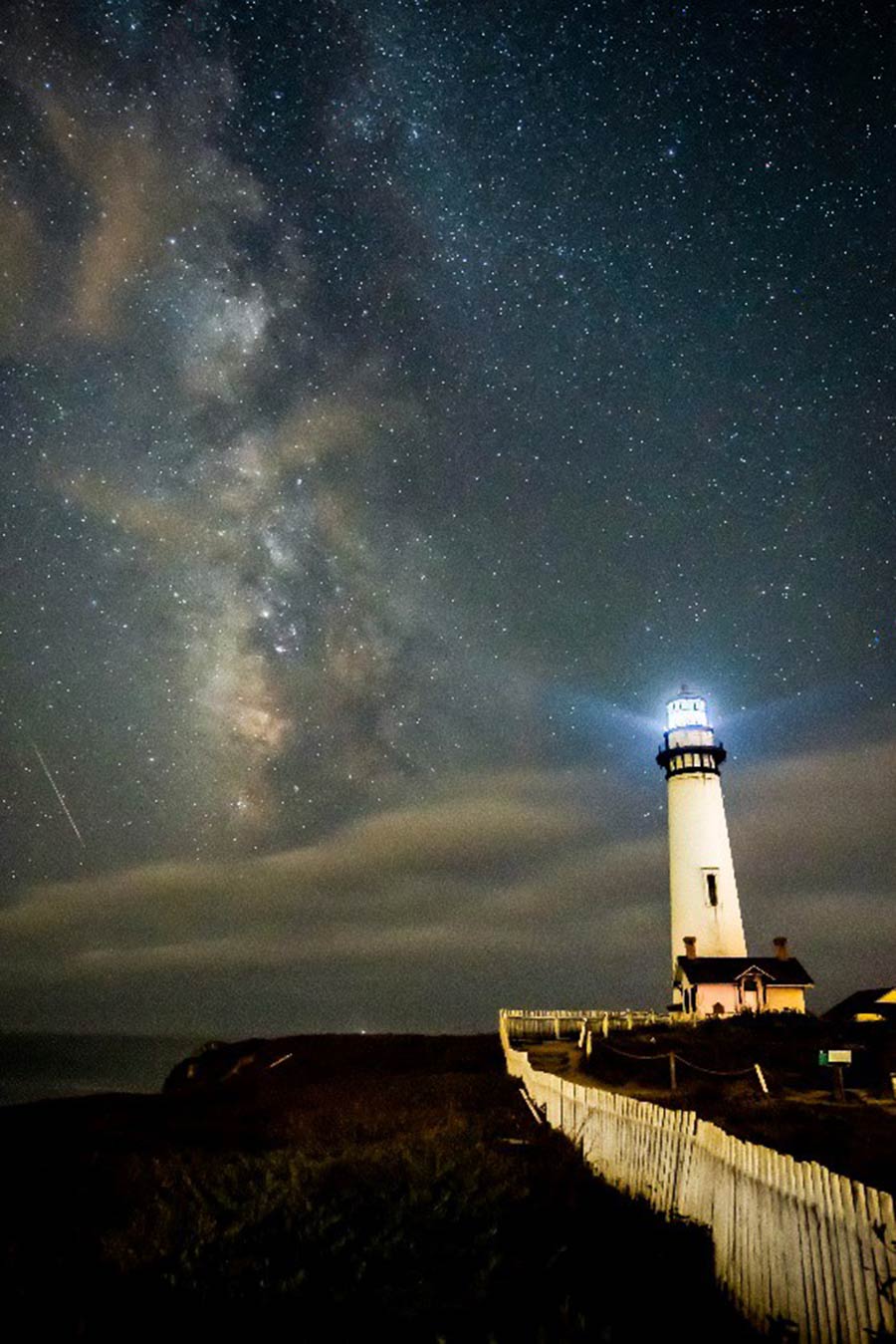 Medical Humanities Section // The Guiding Light – 2019 Visual Arts ...