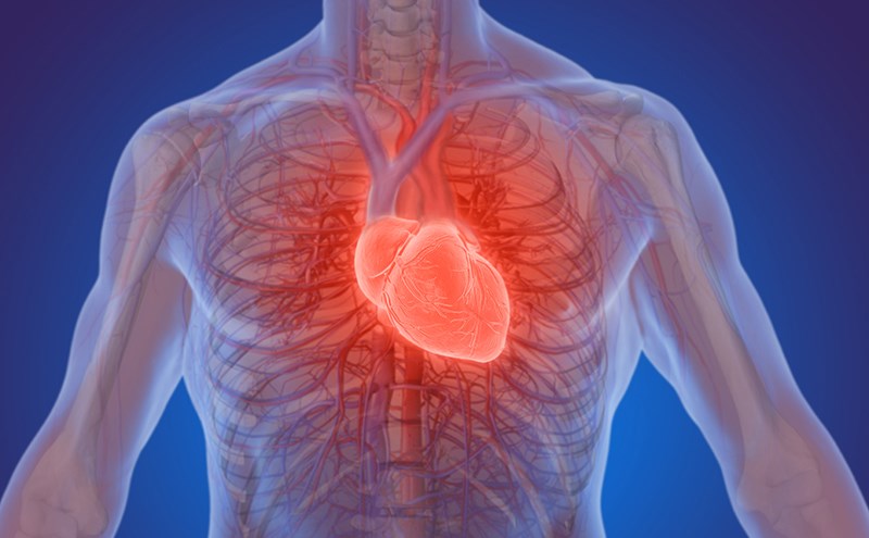 EM Ultrasound Section // Cardiac Tamponade and Ultrasound-Guided ...