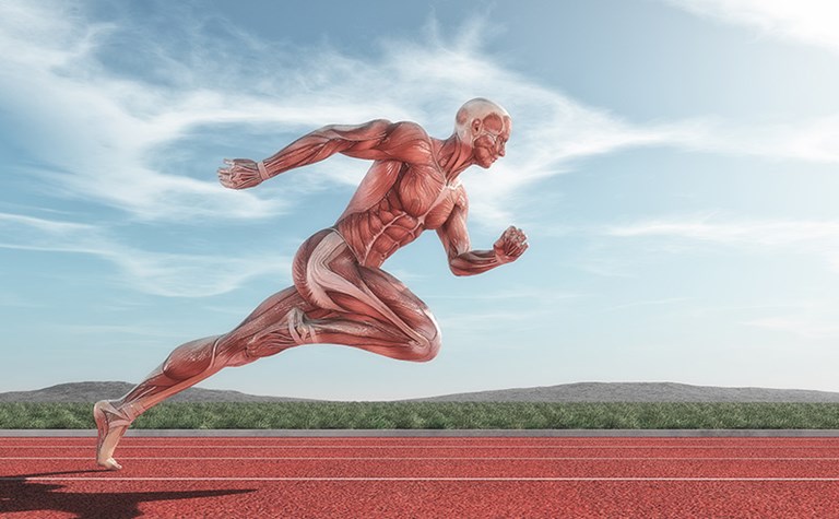 Sports Medicine Section // Video Update- Musculoskeletal Exam Series