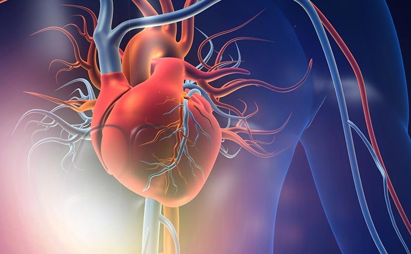 EM Ultrasound Section // Snap, Crackle, and Pop! Acute papillary muscle ...
