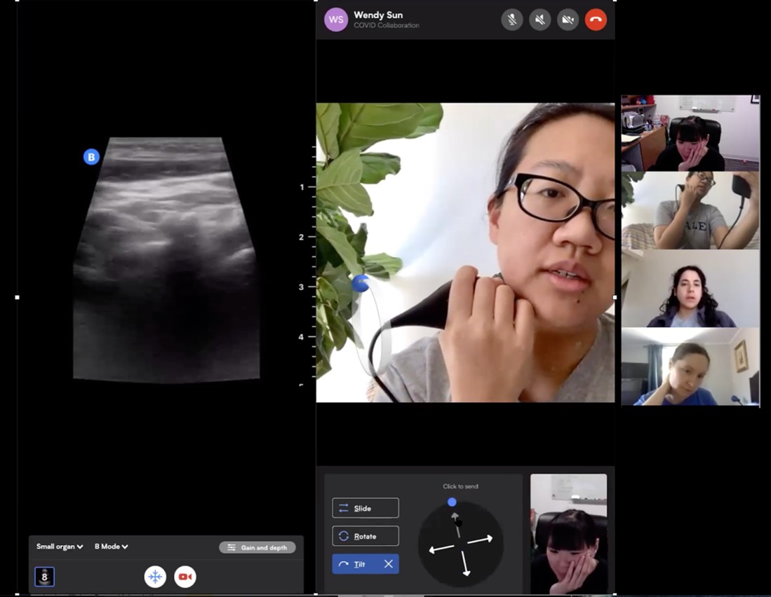 EM Ultrasound Section // Portable Ultrasound Remote Guidance Systems