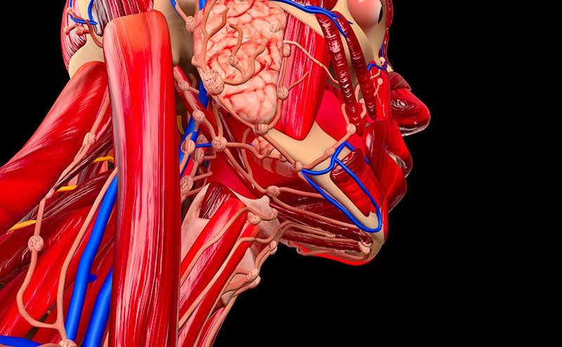 Peritonsillar Abscess | EM Ultrasound Section